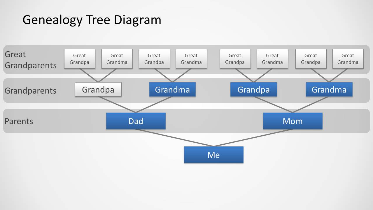 Genealogy Tree Diagram for PowerPoint - SlideModel