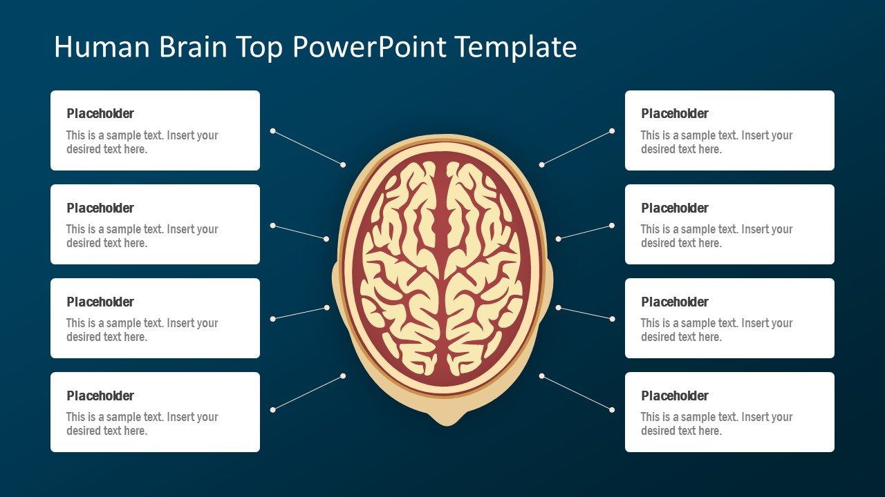 Top Down Human Head PPT - SlideModel