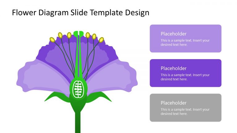 Flower Diagram Presentation Template - SlideModel