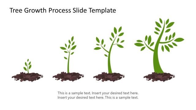 Tree Growth Process Slide Layout - SlideModel