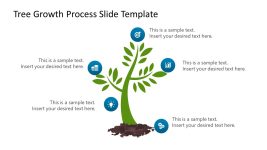 Tree Growth Process PowerPoint Slide - SlideModel