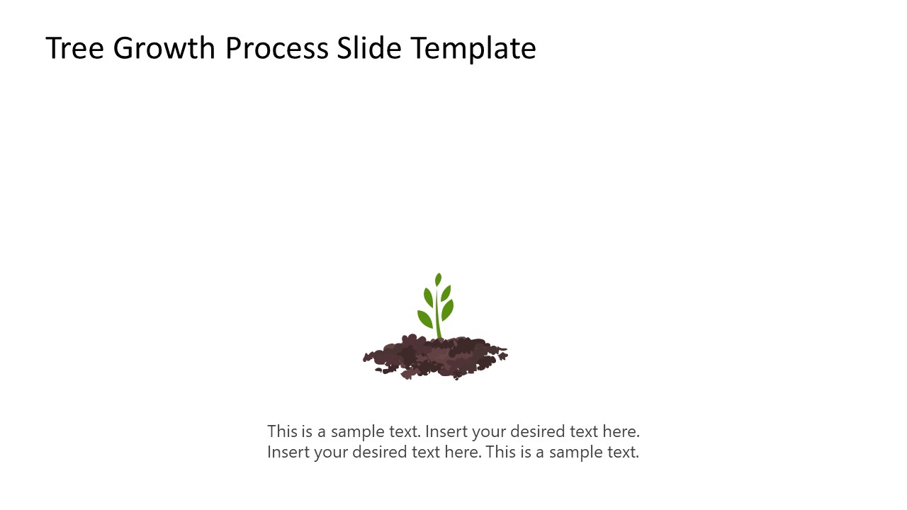 Tree Growth Process PowerPoint Template