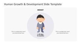 Infant Development Phase Slide - Human Growth Template - SlideModel