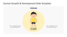 Toddlers Phase Slide- Human Growth Template - SlideModel