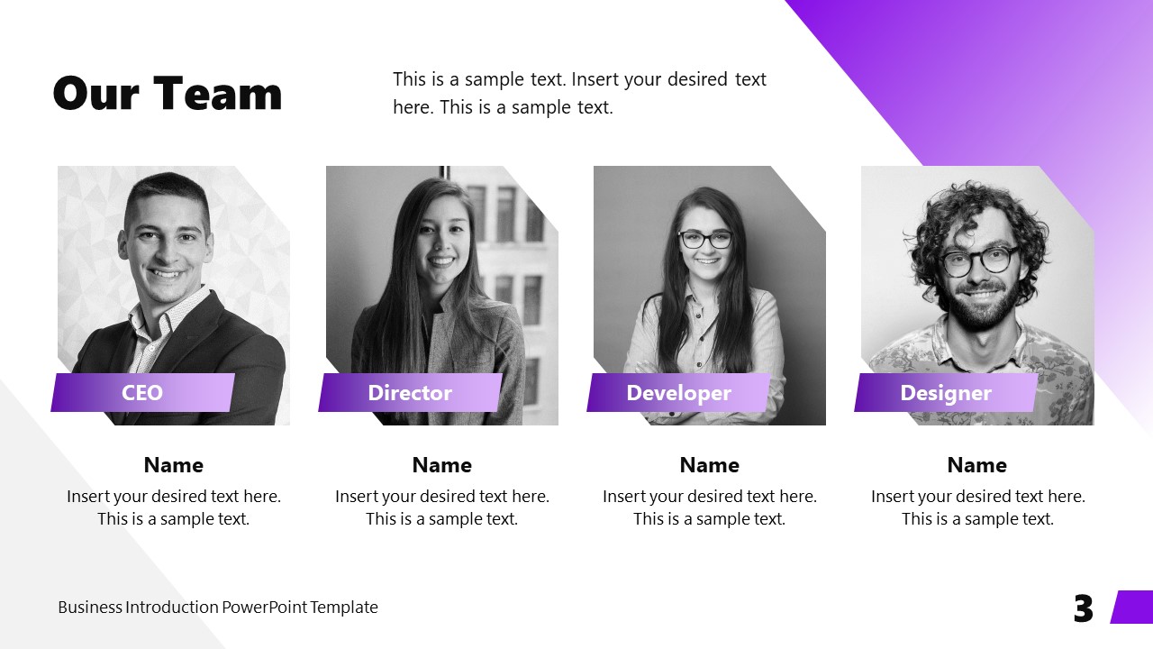 Company Profile Overview PowerPoint Template