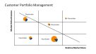 Customer Portfolio Management PowerPoint Slide - SlideModel