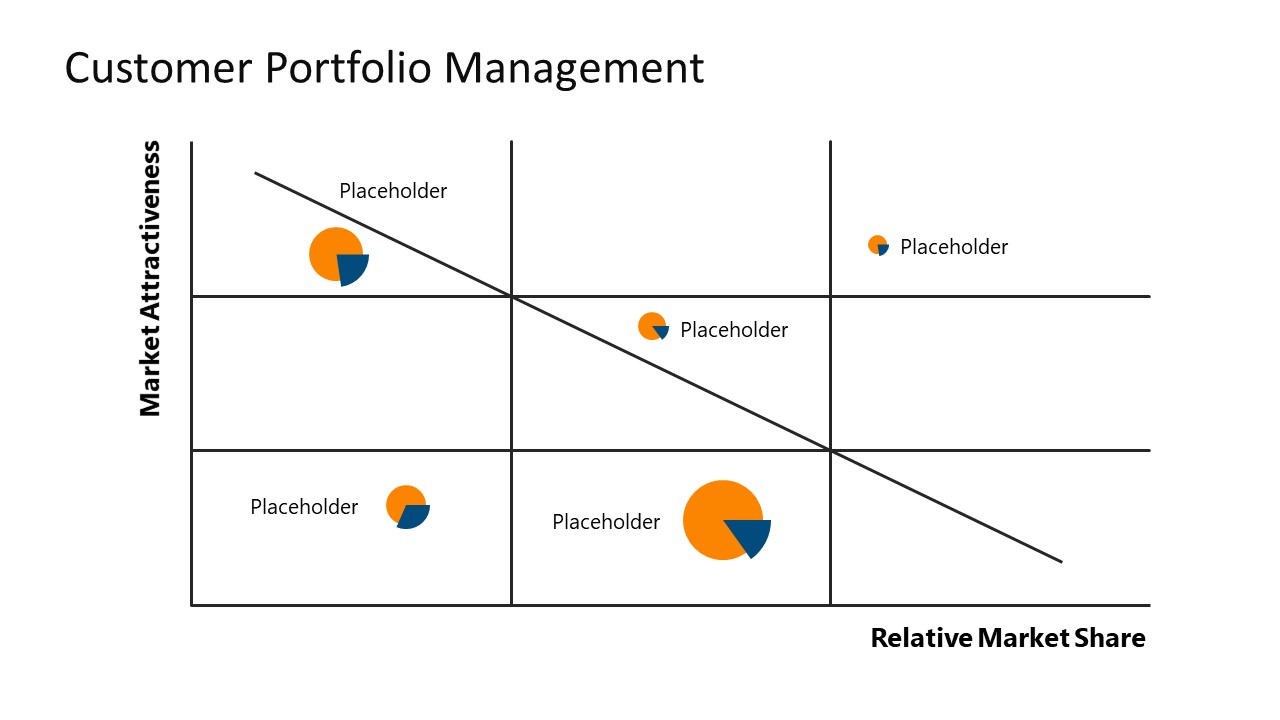 Customer Portfolio Management PowerPoint Diagrams