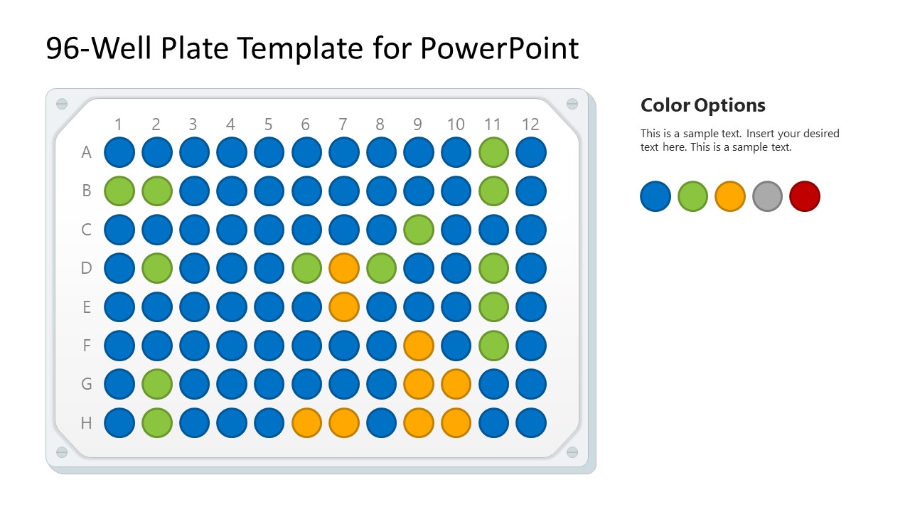 96-Well Plate Template for PowerPoint & Presentation Slide