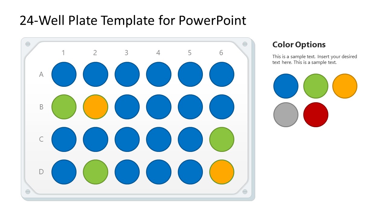 24-Well Plate Template for PowerPoint & Presentation Slides