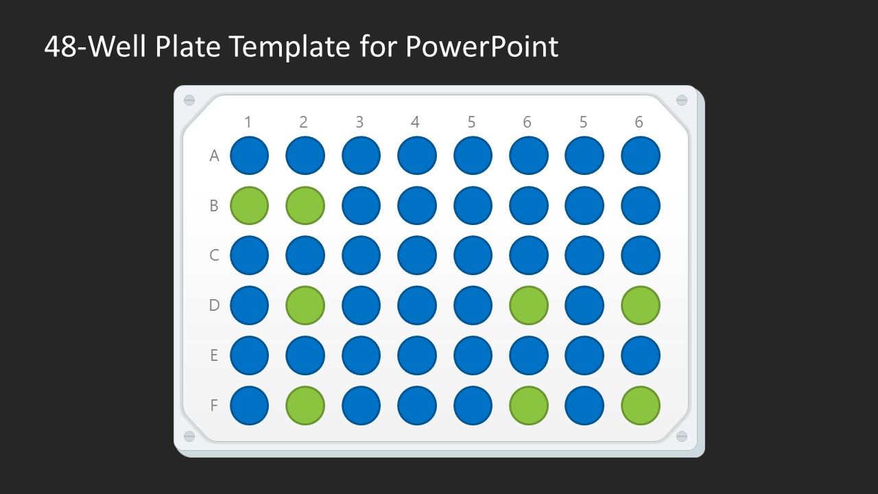 48-Well Plate Template for PowerPoint