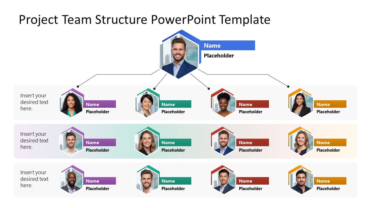 Project Team Structure PowerPoint Template
