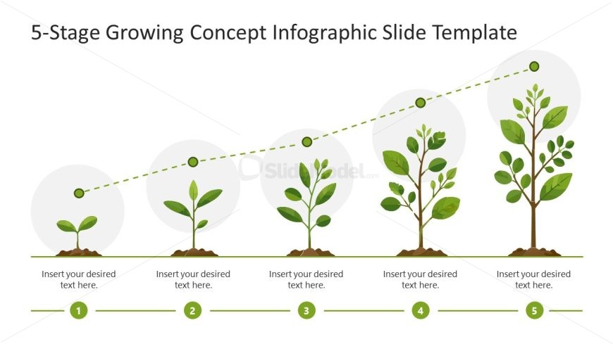 Editable 5-Stage Growing Concept PPT Template - SlideModel