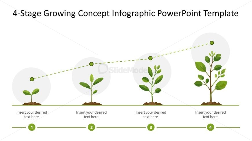 4-Stage Growing Concept Presentation Design Template - SlideModel