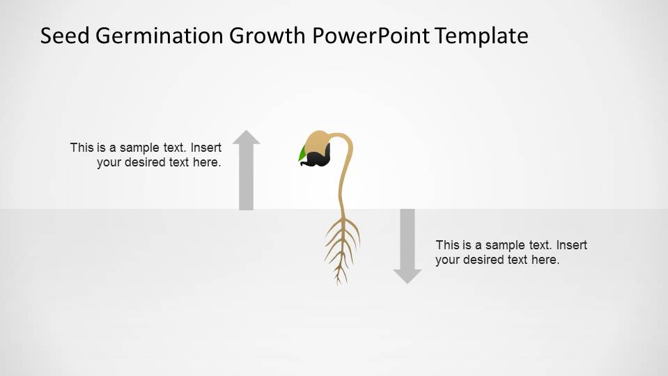 Seed Germination Growth PowerPoint Template - SlideModel