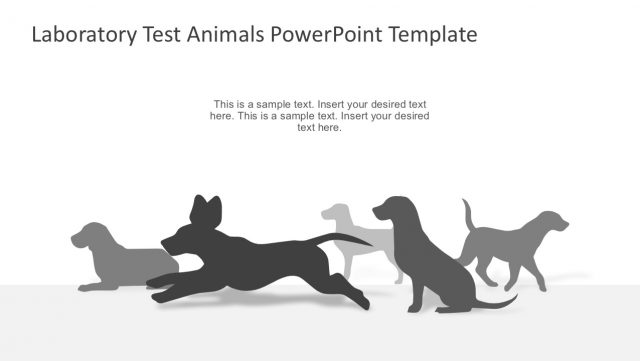 Animal Product Testing Lab Experiment - SlideModel
