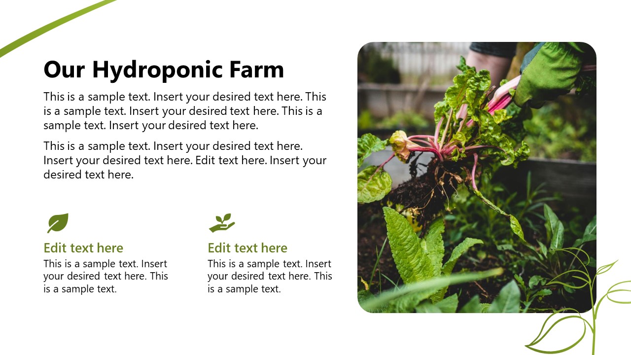 Hydroponic Business PowerPoint Template