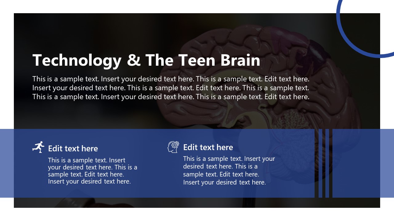 Understanding the Teen Brain PowerPoint Template