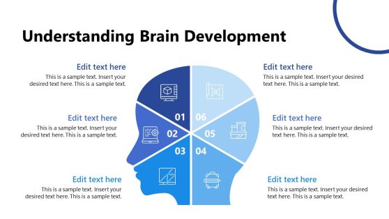 Understanding Brain Development Diagram Slide - SlideModel