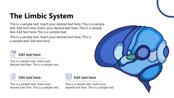 The Limbic System Presentation Slide Slidemodel
