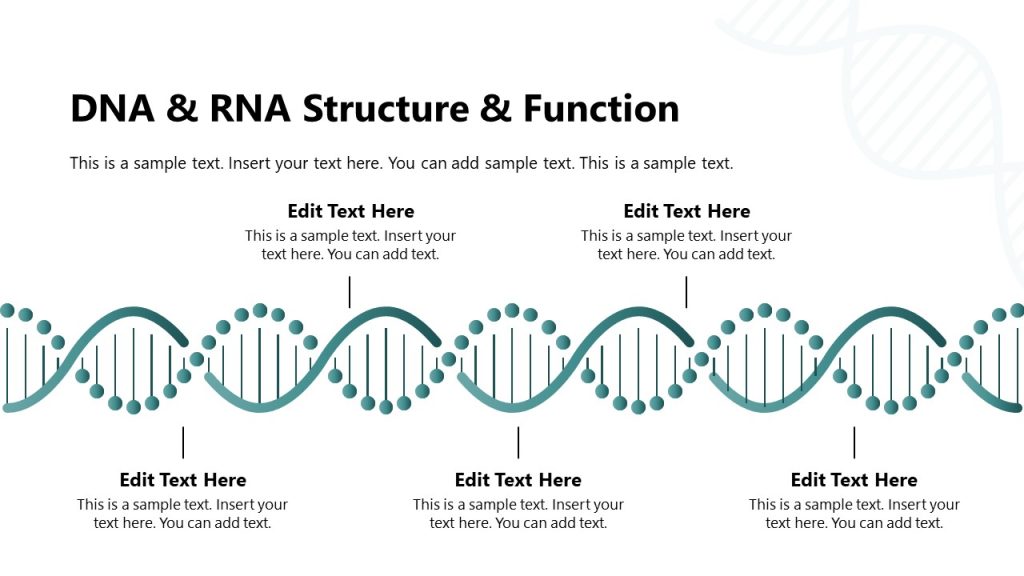 RNA & RNA Structure Slide Template - SlideModel