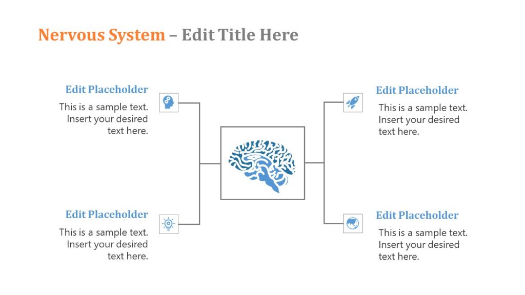 Brain Function Nervous System PowerPoint - SlideModel