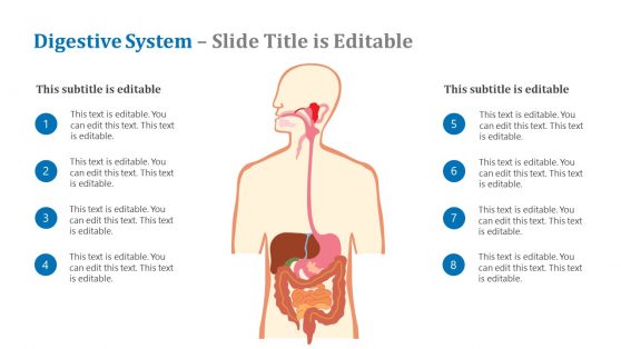 Digestive System Health System PPT - SlideModel