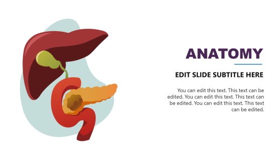 Customizable Anatomy Presentation Template Slide - SlideModel