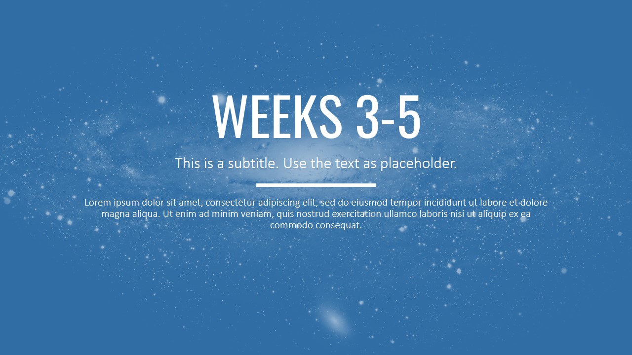 Weekly Plan Professional PowerPoint Templates & Slides