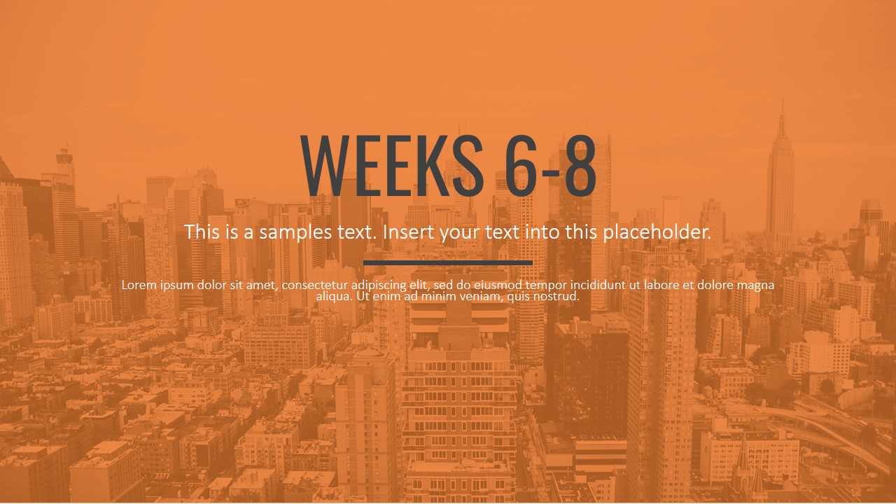 Weekly Plan Professional PowerPoint Templates & Slides