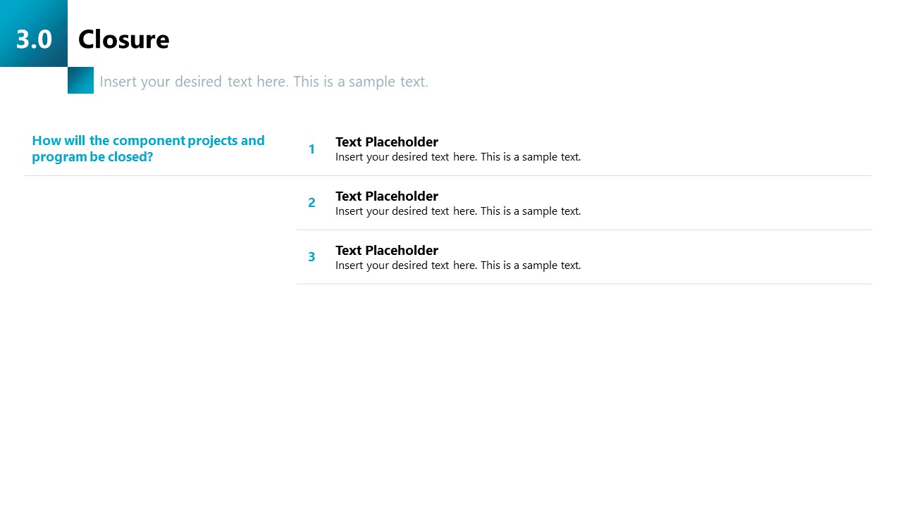 Program Management PowerPoint Template & Slides
