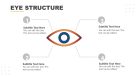 Eye Structure Template for PowerPoint - SlideModel