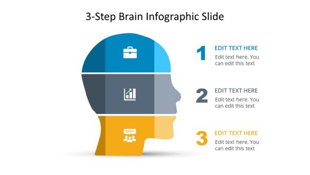 Animated Brain Infographics PowerPoint - SlideModel