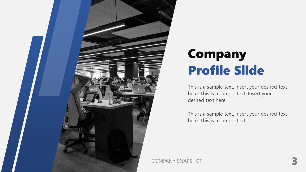 Free Company Snapshot PowerPoint Template
